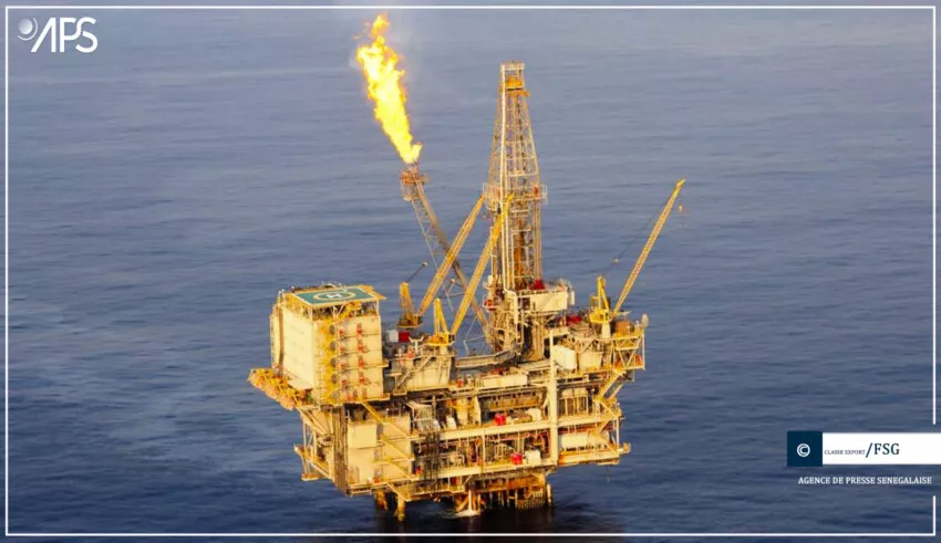SENEGAL-HYDROCARBURES / Le champ Sangomar a produit son premier baril ...